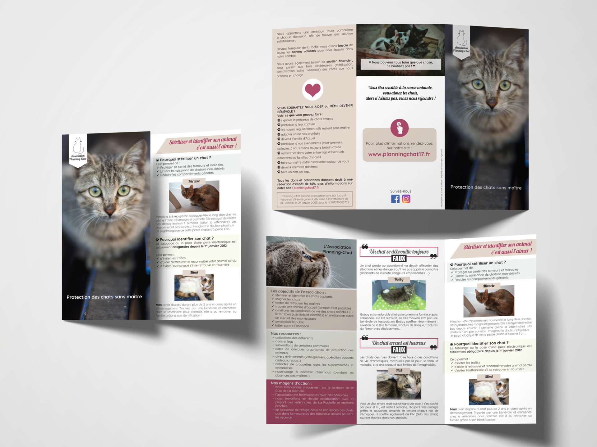 Flyer association Planning-Chat - Maeva Villeneuve